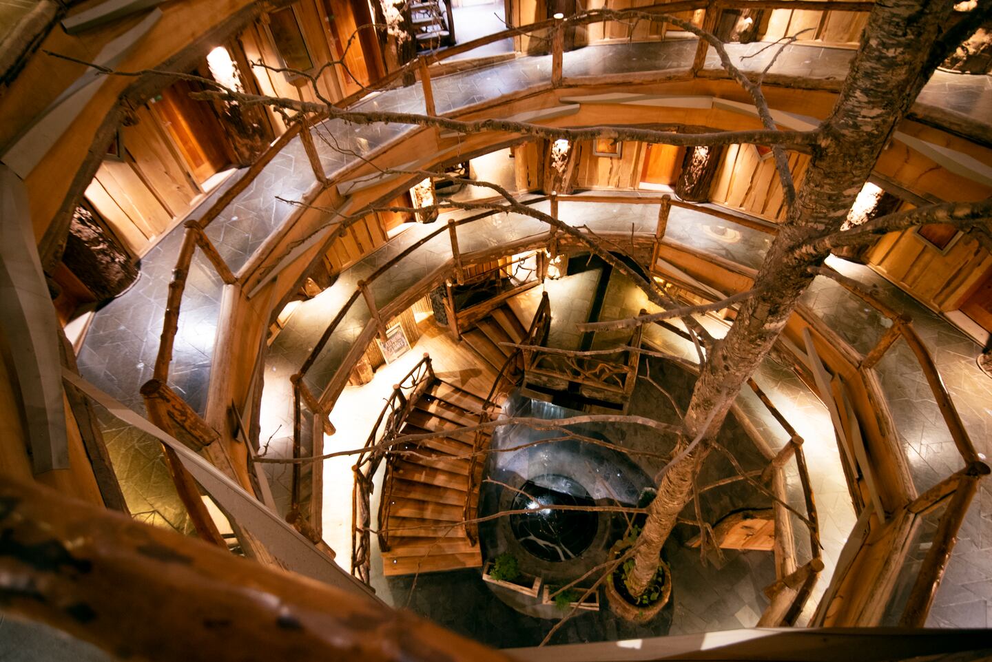 Vive Los Ríos: Reserva Biológica de Huilo Huilo, un refugio mágico para ...