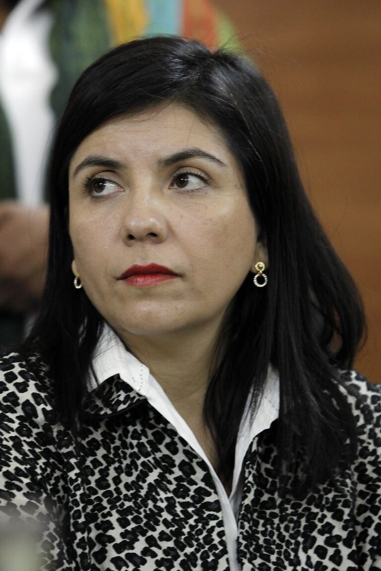 Diputada Danisa Astudillo (PS): “Las Isapres están montando un show ...