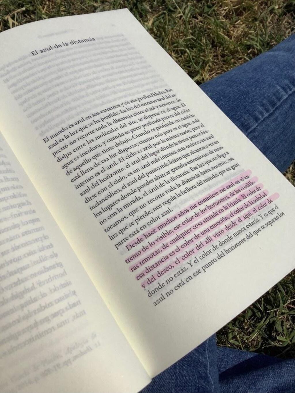 Libros para perder(se) y encontrar(se), vagar y detenerse a reflexionar ...