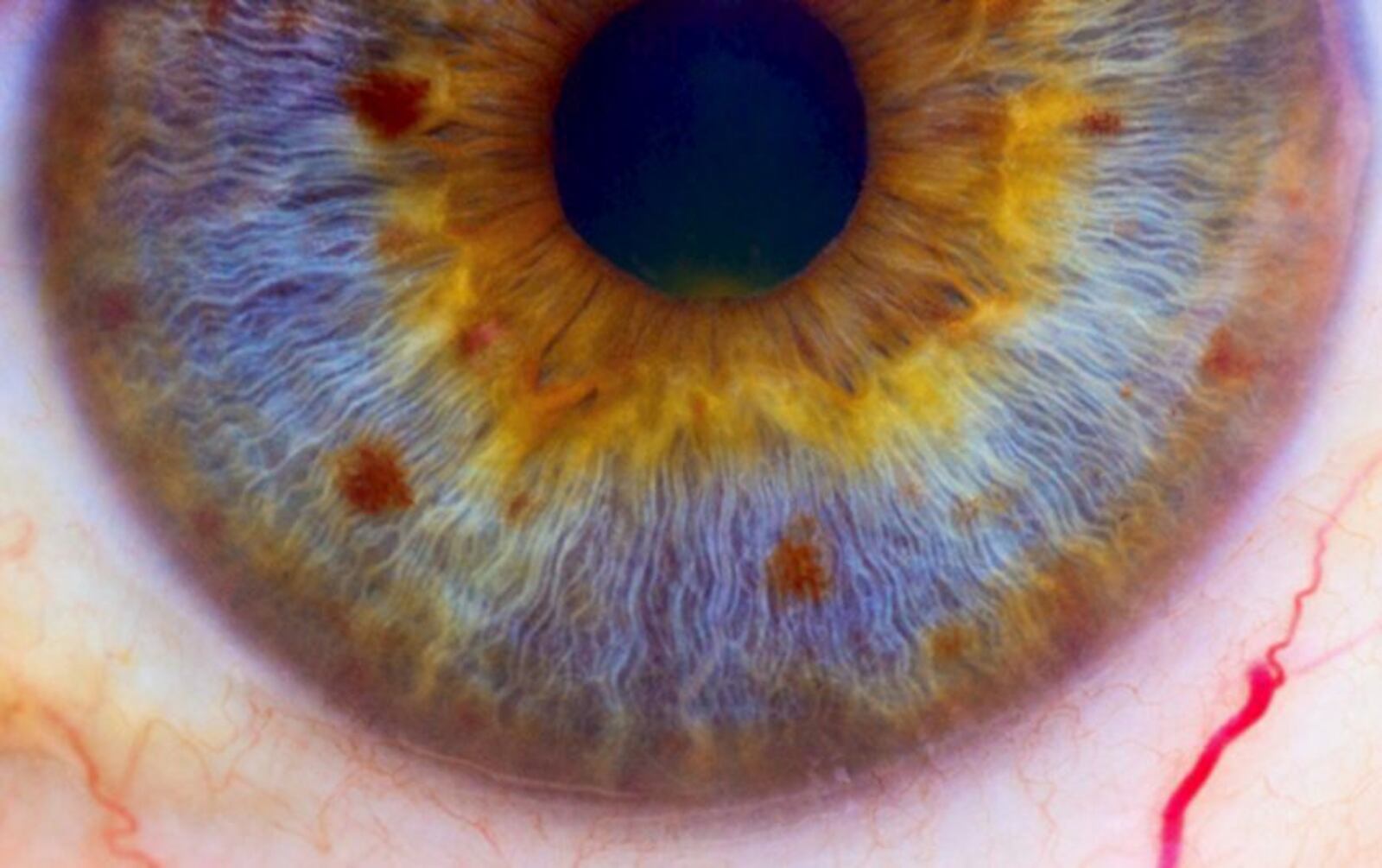 Palinopsia: Conoce la enfermedad que te dejaría ver como en "Matrix ...