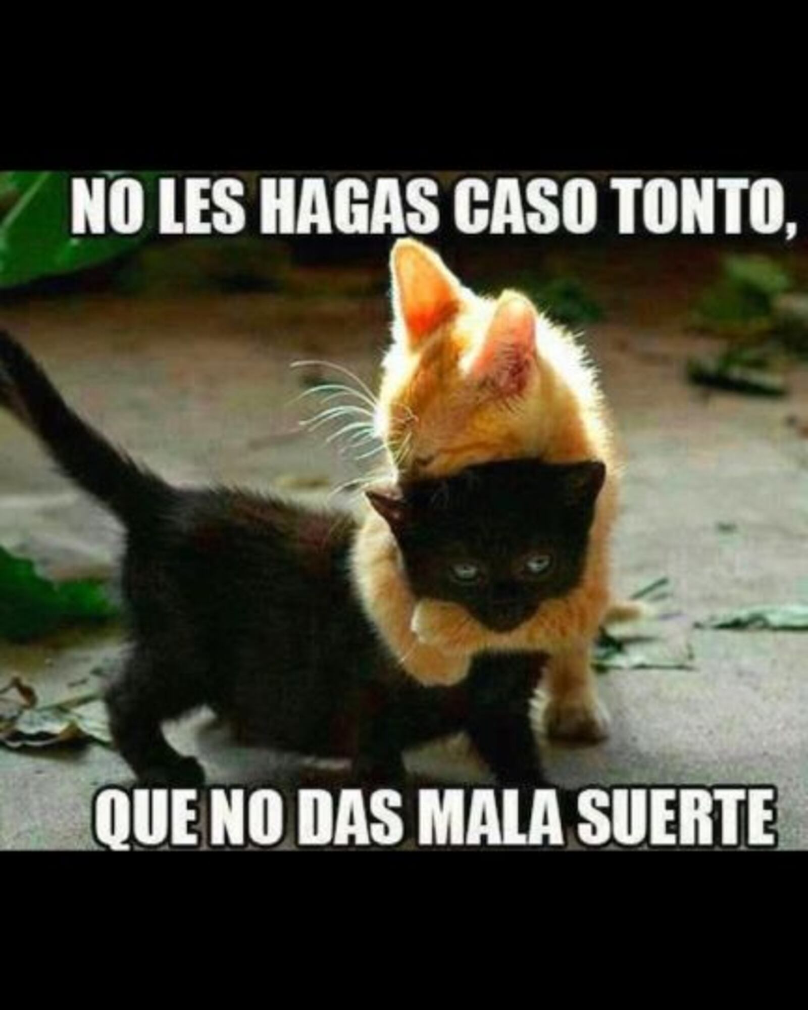 FOTOS: 20 mejores memes de viernes 13 – Publimetro Chile