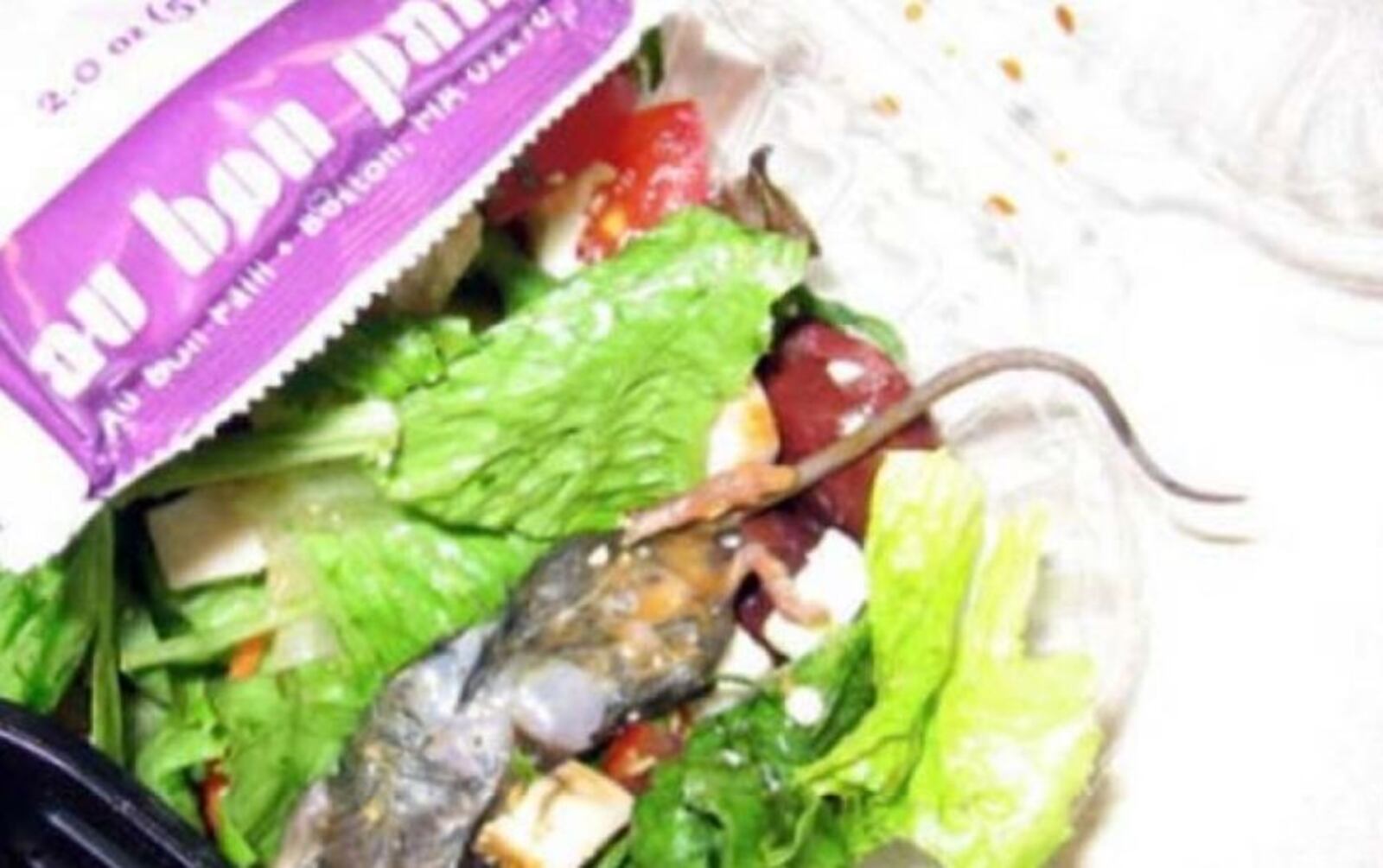 FOTOS: Las 19 cosas más asquerosas encontradas en la comida ...