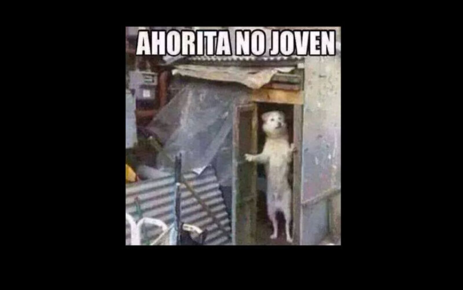 Video: El origen del meme "Ahorita no, joven" – Publimetro Chile