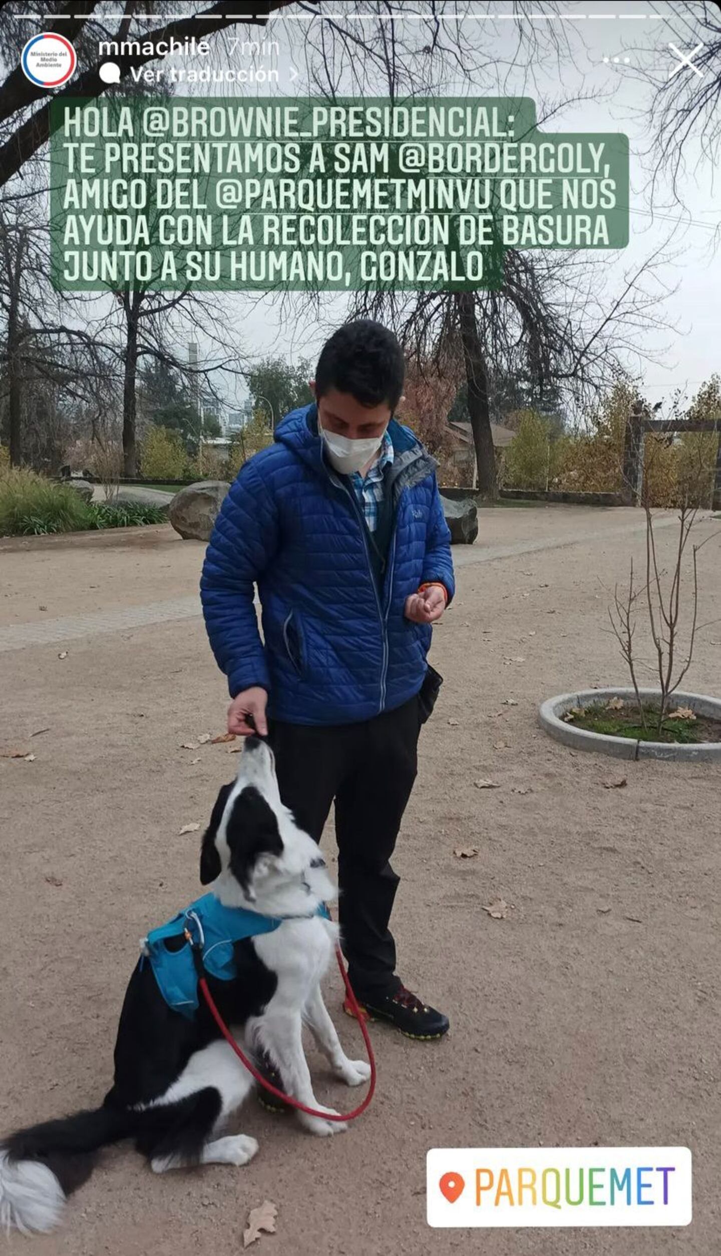 Perrito Sam y su humano pasan de la vida real al cómic en campaña ...